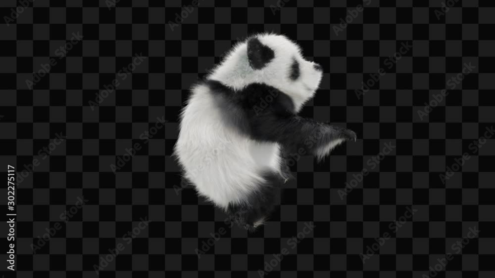 panda Zoo CG fur 3d rendering animal realistic CGI VFX Animation Loop ...