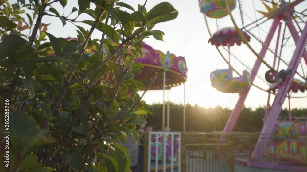 Sunrays shining through green bush leaves. Pink carousels showing up ...