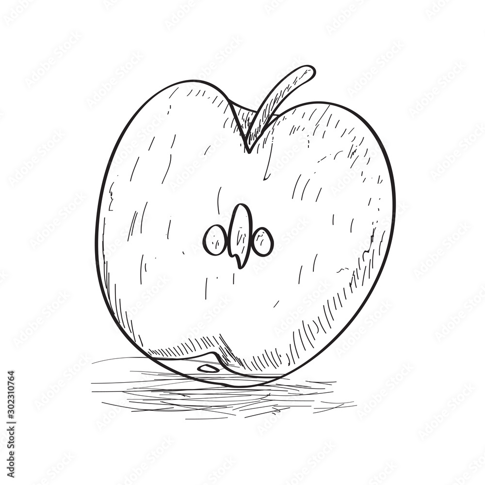 Sketch of an apple cut. Fruit sketch - Vector illustration Stock Vector ...