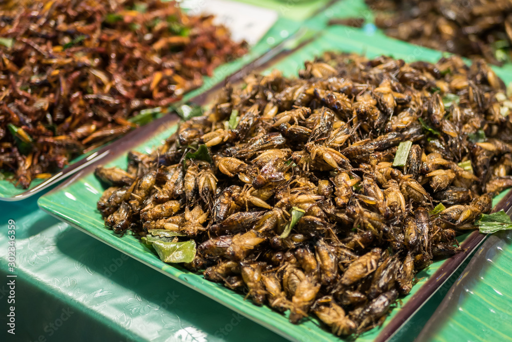 Deep fried crickets selling at the Bangkok night market. Fried insects ...