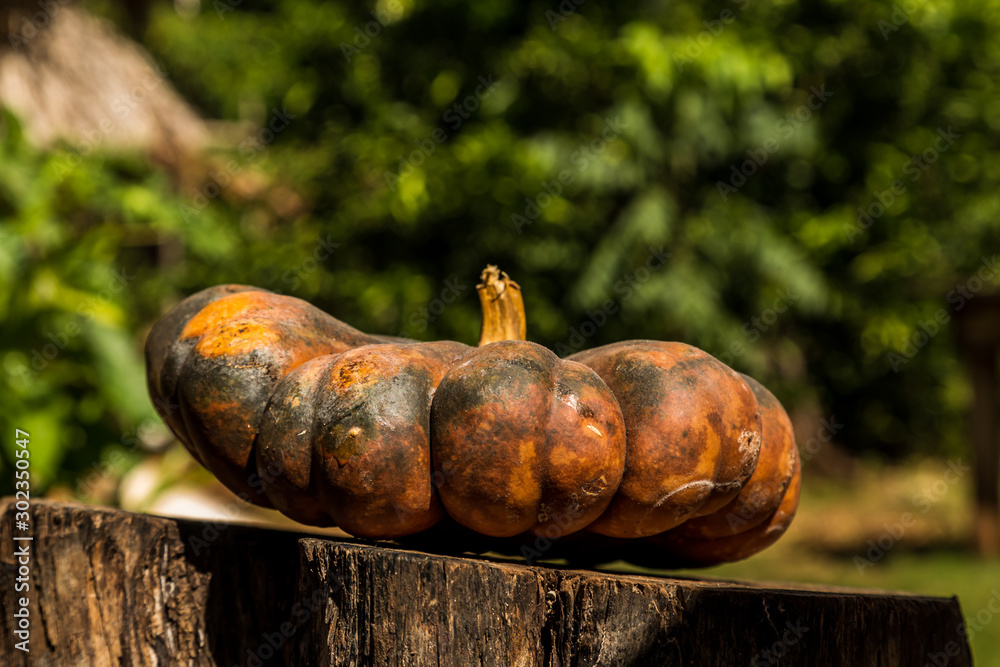 Foto de recursos naturales do Stock | Adobe Stock
