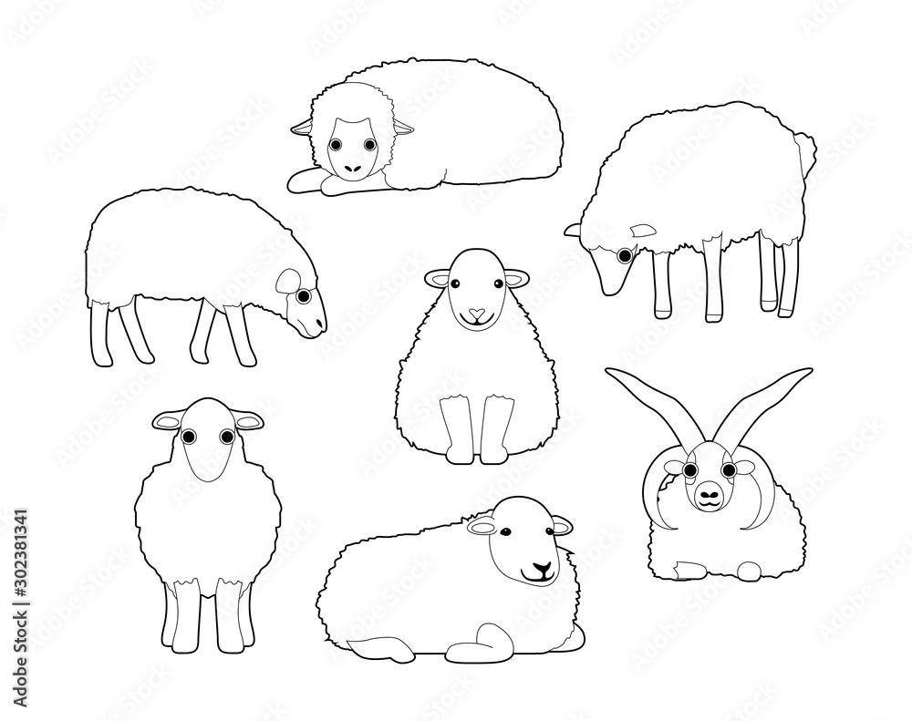 Various Domestic Sheep Cute Cartoon Vector Coloring Book Stock Vector ...