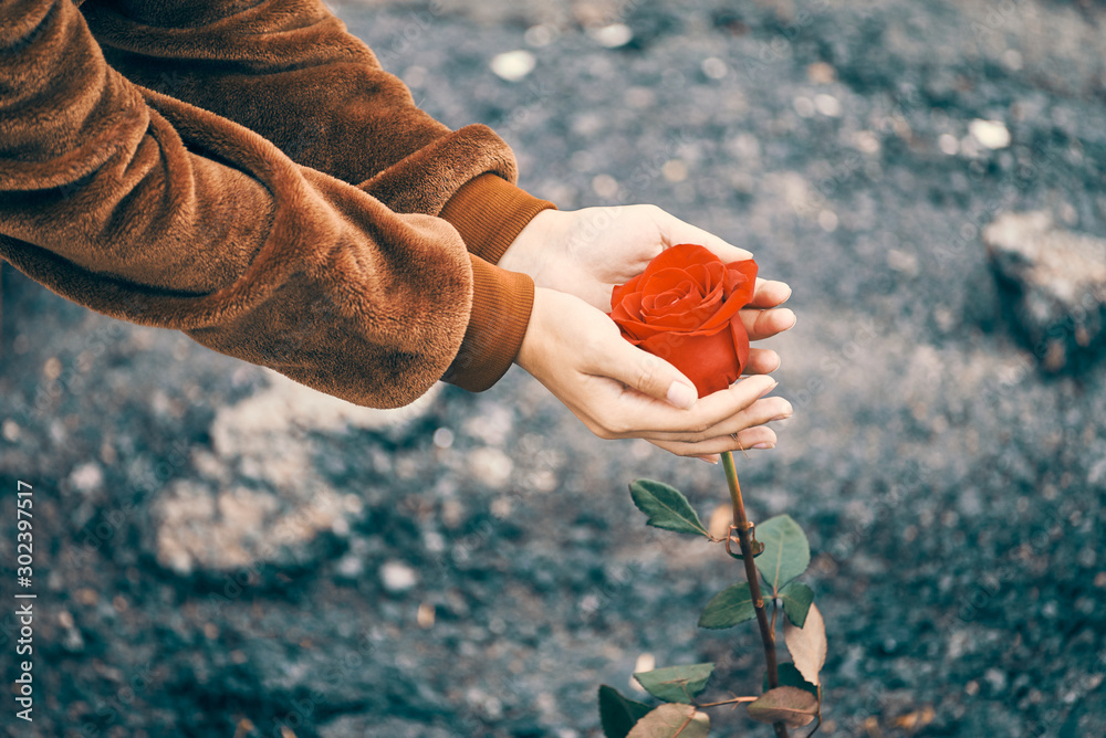 Sad Girl With Red Rose Wallpaper