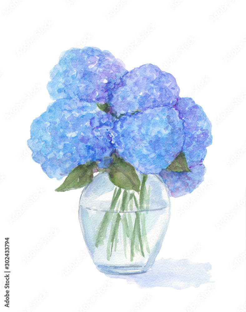 Hydrangea flower watercolor painting on isolated white background still ...