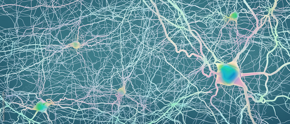 Connected neurons or nerve cells- 3d illustration Stock Illustration ...