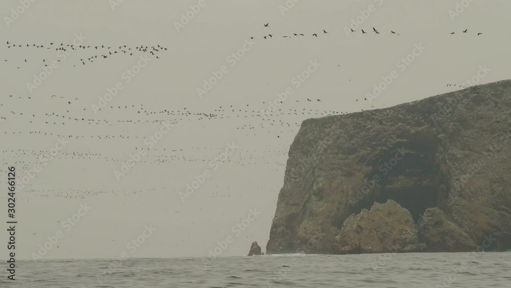 Large Flocks of Birds Flying between Ballestas Islands, Birds of ...