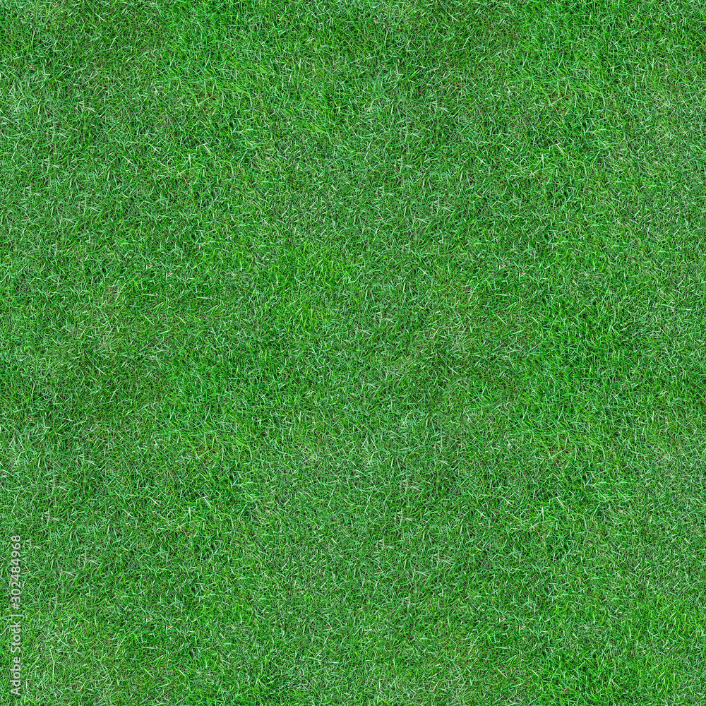 Green Grass Seamless Texture Stock Photo | Adobe Stock