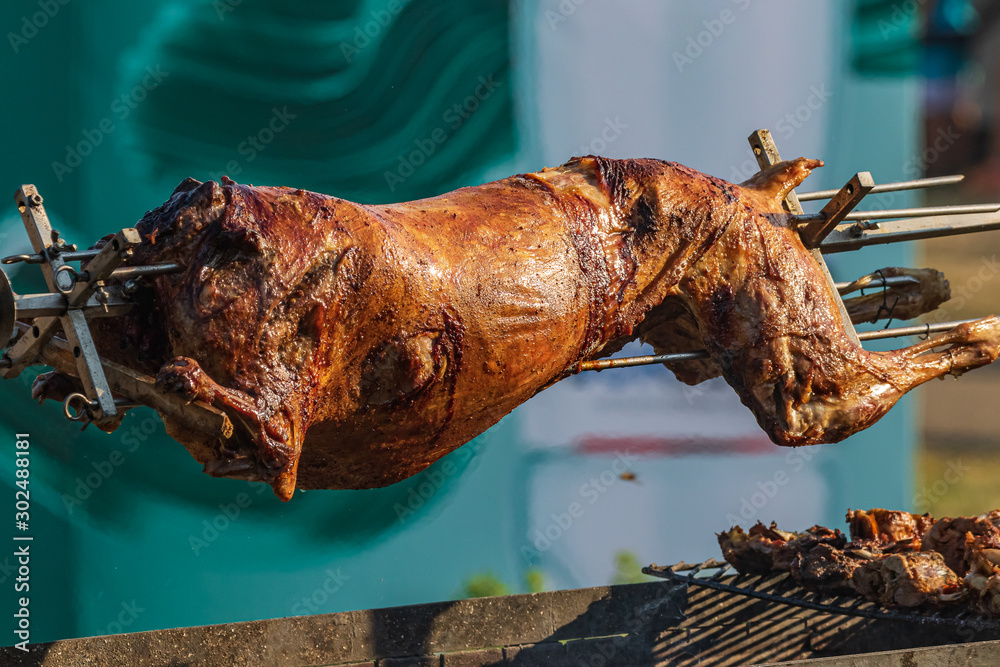 The carcass of a young sheep roasting on a spit over a low fire of ...