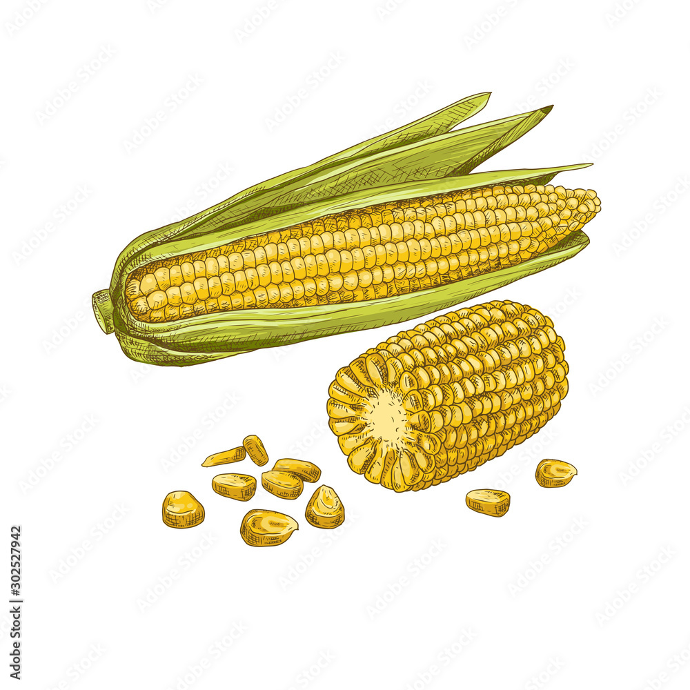 Corn Cob Uses