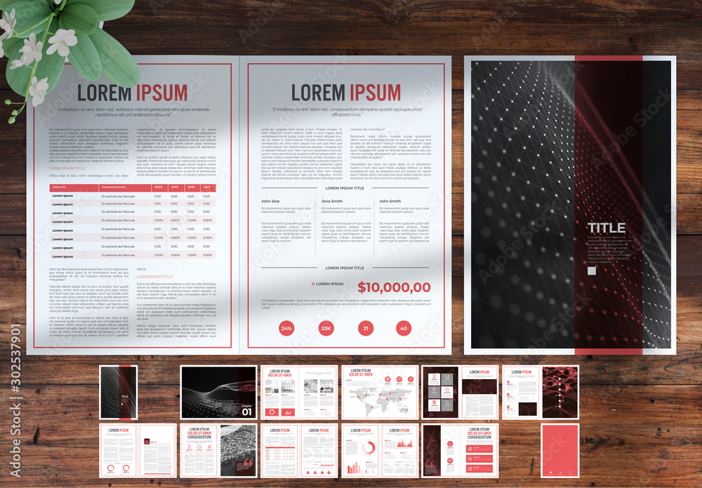 Business Report Layout with Red Accents Stock Template | Adobe Stock