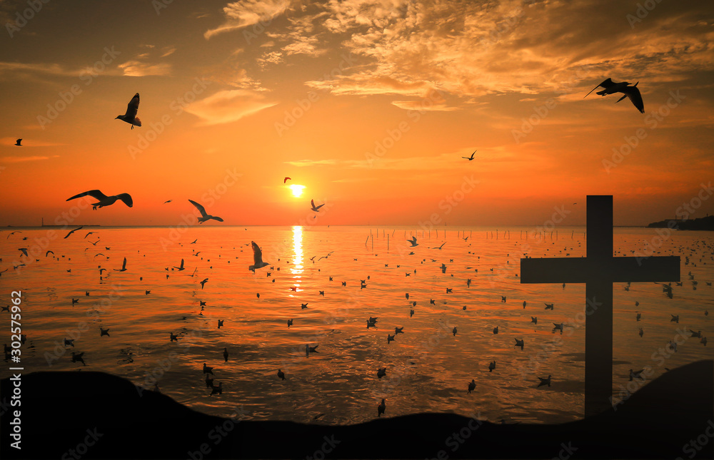 Jesus Christ Umages Birds