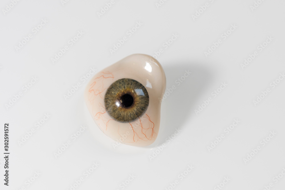 Glass eye prosthetic or Ocular prosthesis with shadow on white Stock ...