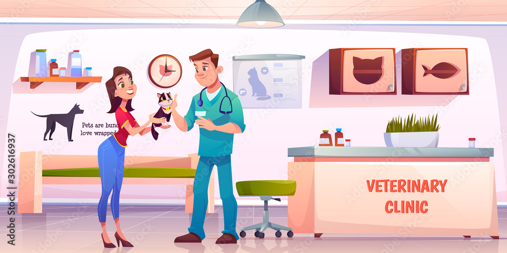 Customer in vet clinic. Young woman giving cat to veterinarian doctor ...