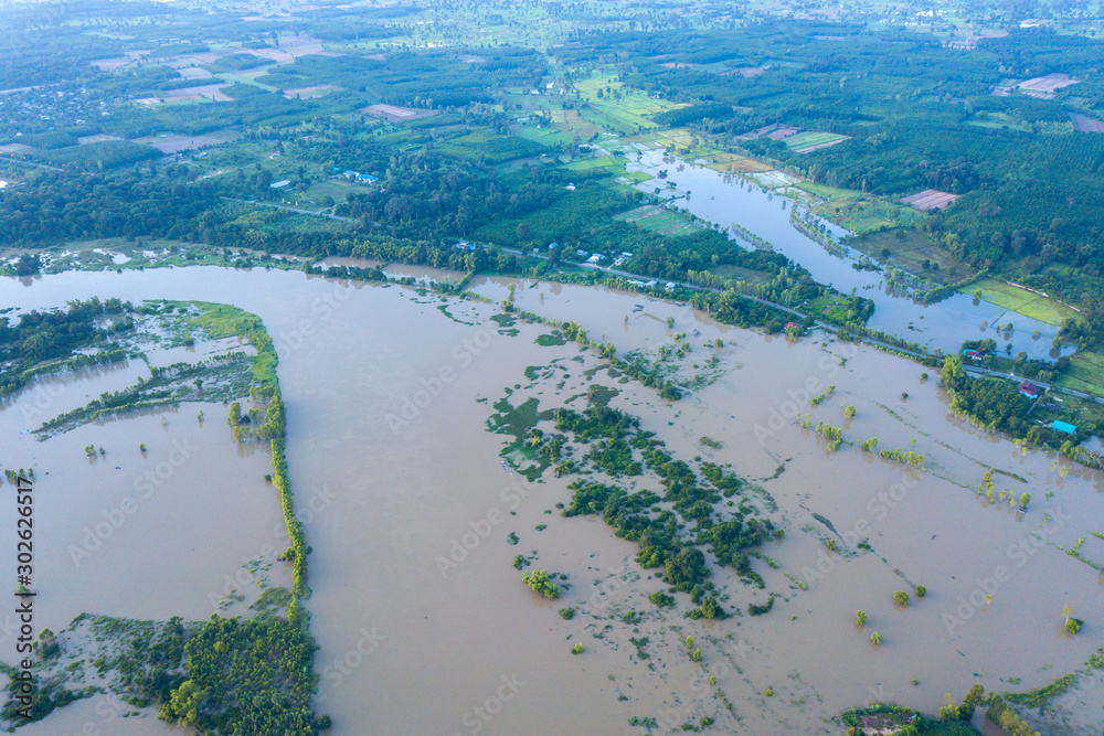 Top view Aerial photo from flying drone.Flooded rice paddies.Flooding ...