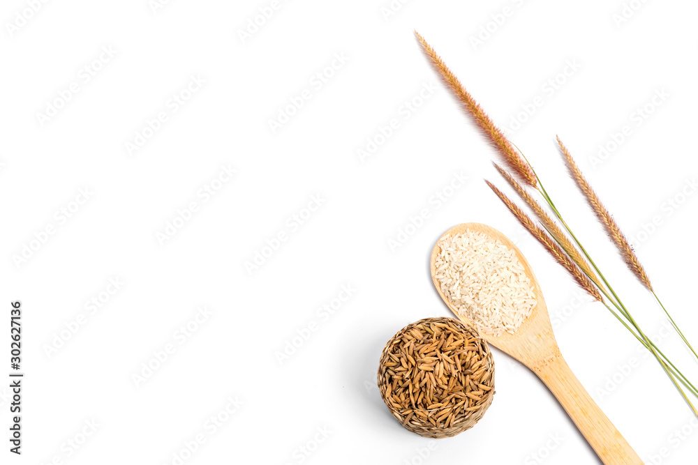 Thailand rice and Japanese rice on white background.Paddy and flower ...