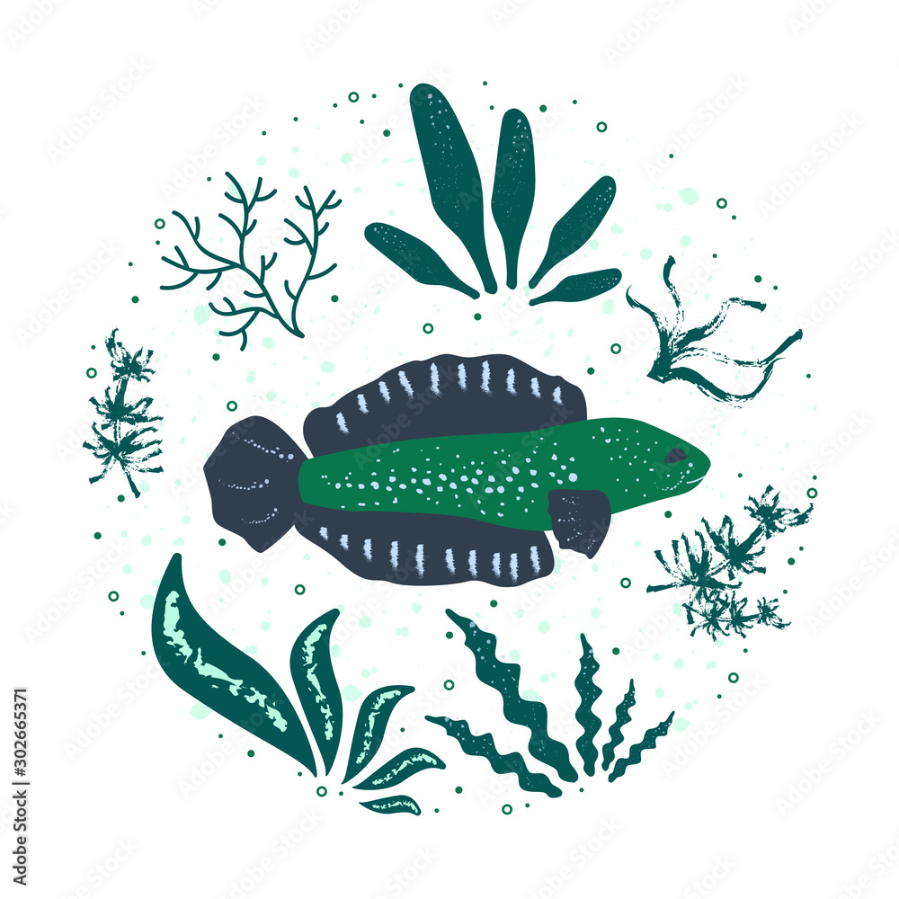 Wildlife blue green fish and various seaweeds in circle on white ...