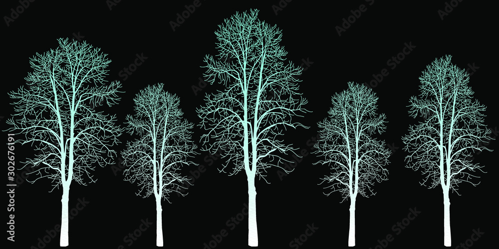 Five trees of different sizes. Trees without leaves. Leafless tree ...