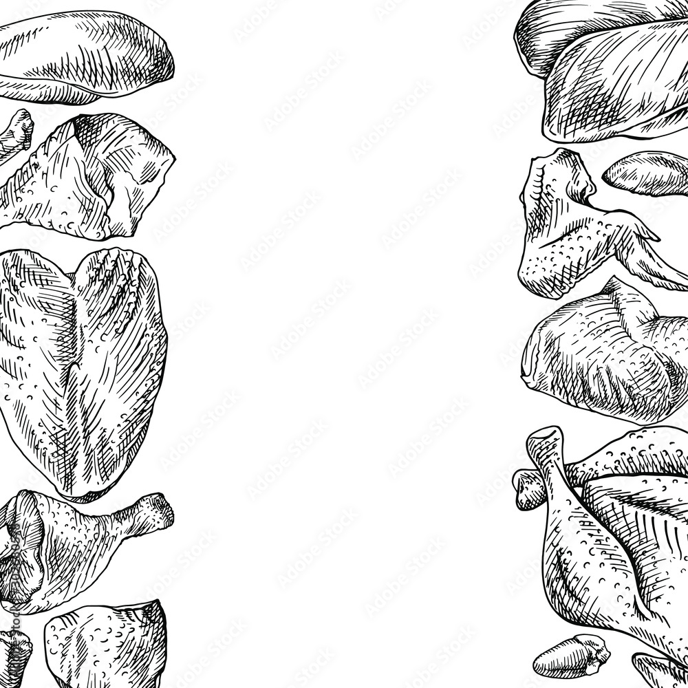 Hand drawn frame of Chicken cuts, hen parts. Domestic bird meat set ...