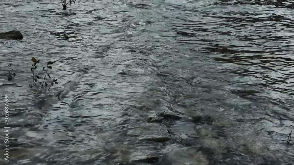 Row of stones washed over by river water Stock Video | Adobe Stock