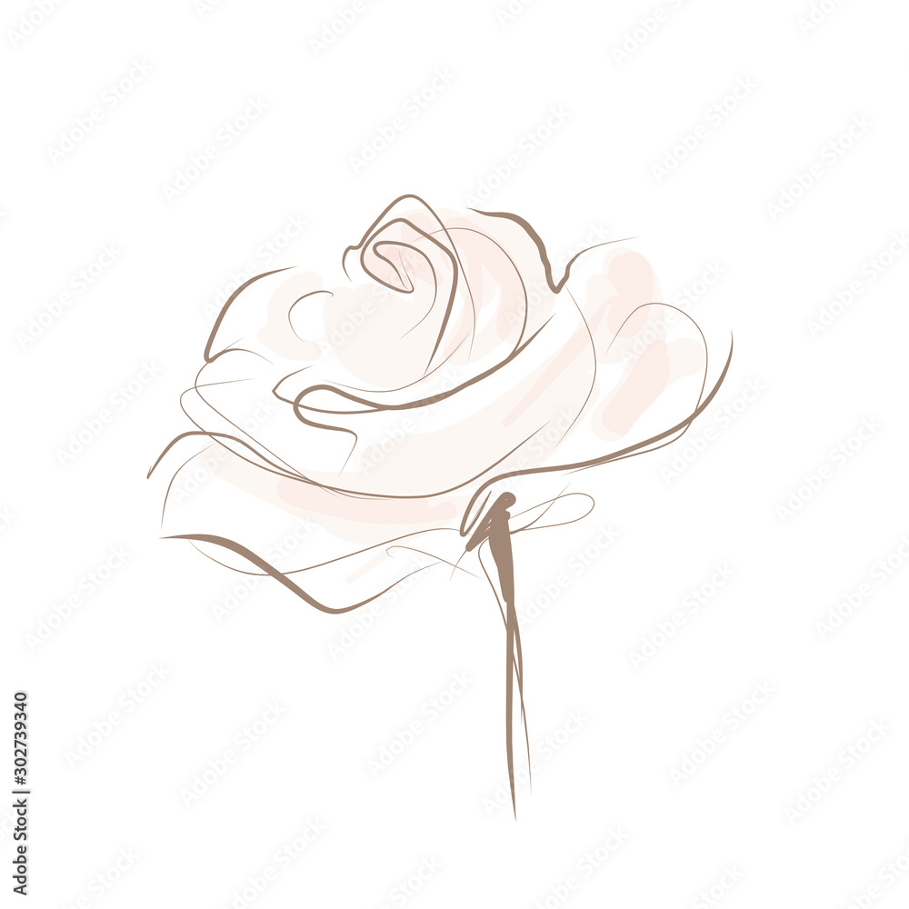 Beautiful flower, painted rose. Vector illustration Stock Vector ...