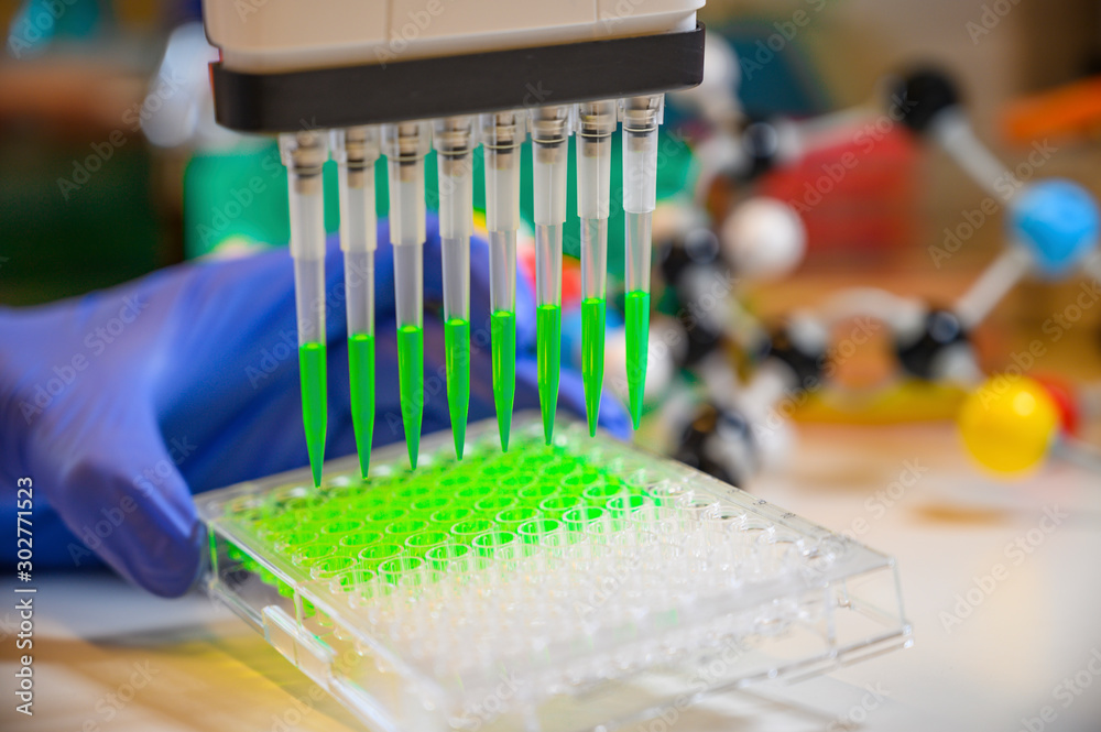 Scientist holding Multi channel pipette withdrawing green compound ...