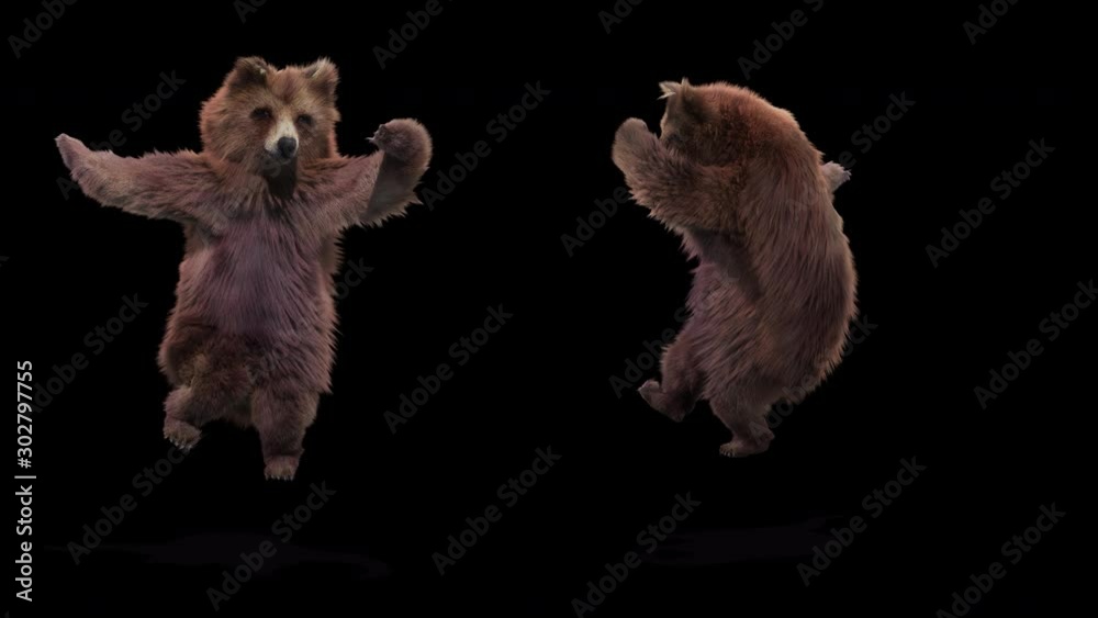 Vidéo Stock Bear Dance CG fur 3d rendering animal realistic CGI VFX ...