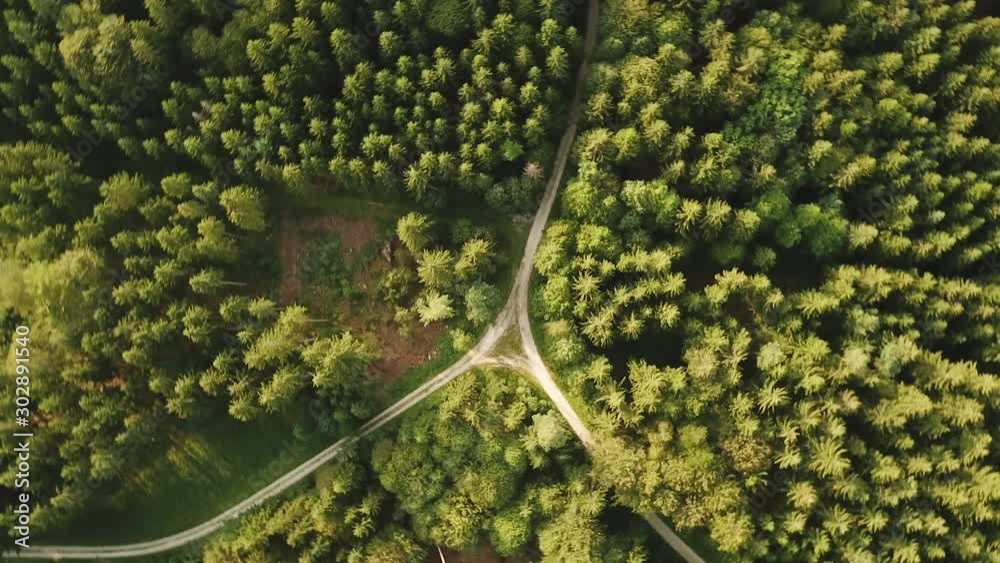 Rotating birds eye shot of forest path junction Stock Video | Adobe Stock