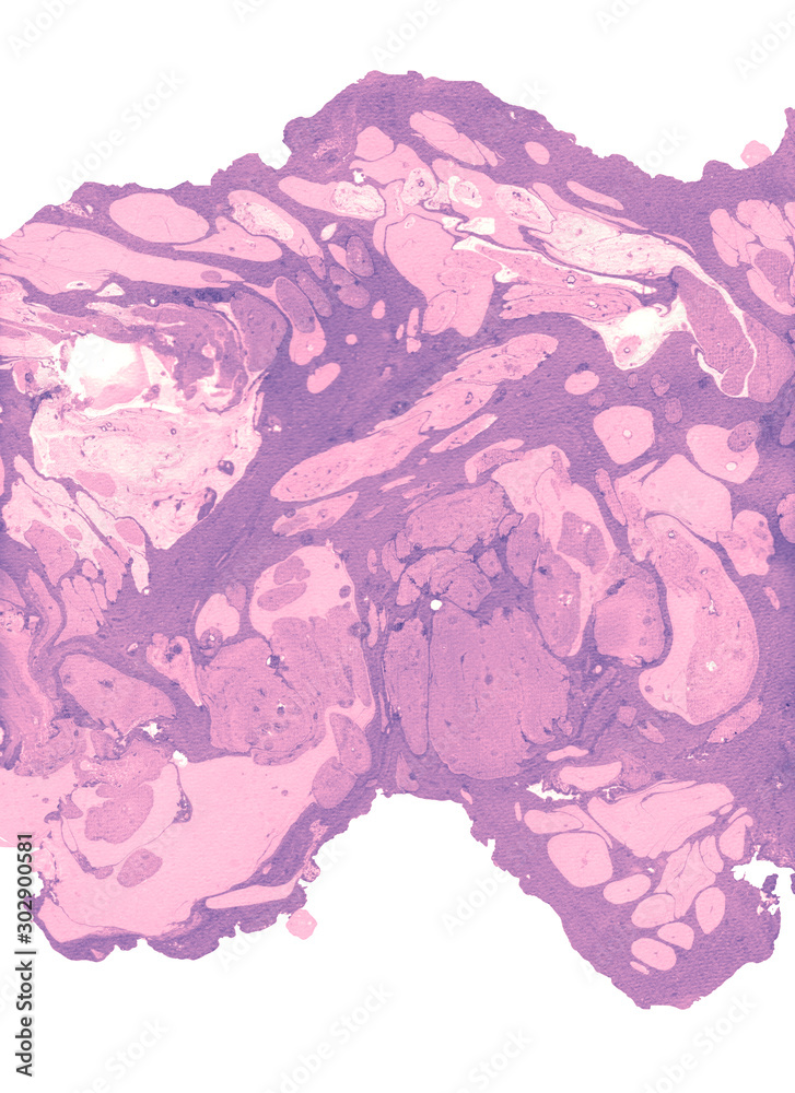 Beautiful abstract lilac pink background. Acrylic painting. Marble ...