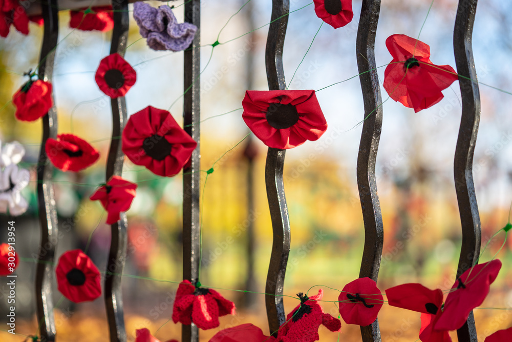 Foto de Remembrance Day, sometimes known informally as Poppy Day.A ...