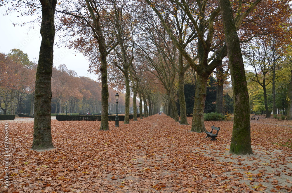 Parc Elisabeth Simonis Koekelberg Stock Photo | Adobe Stock
