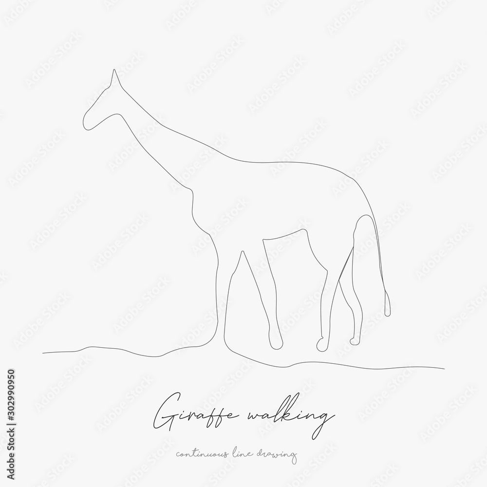continuous line drawing. giraffe walking. simple vector illustration ...