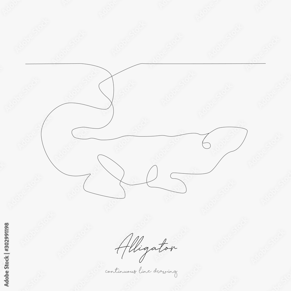 continuous line drawing. alligator. simple vector illustration ...