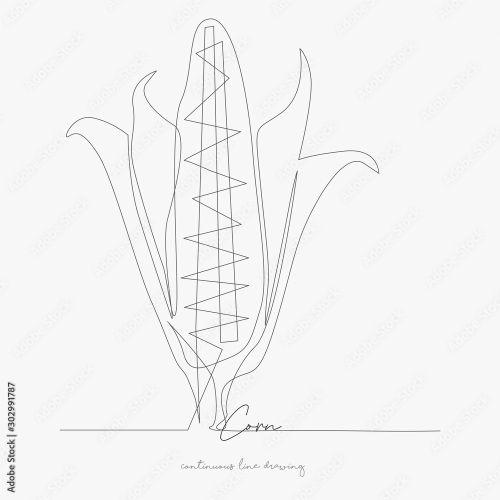 continuous line drawing. corn. simple vector illustration. corn concept ...