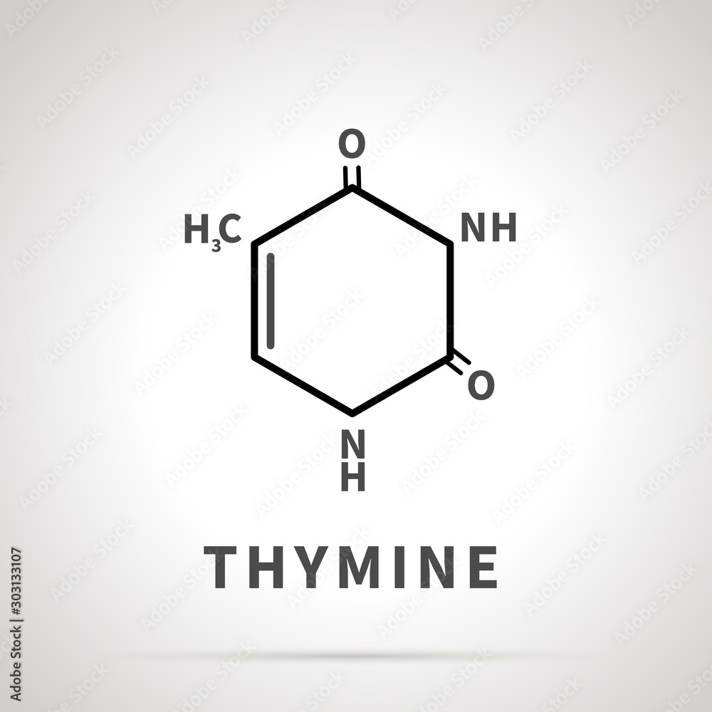 Chemical structure of Thymine, one of the four main nucleobases, simple ...