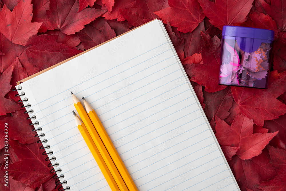 Back to school, spiral notebook with lined paper, three number 2 ...