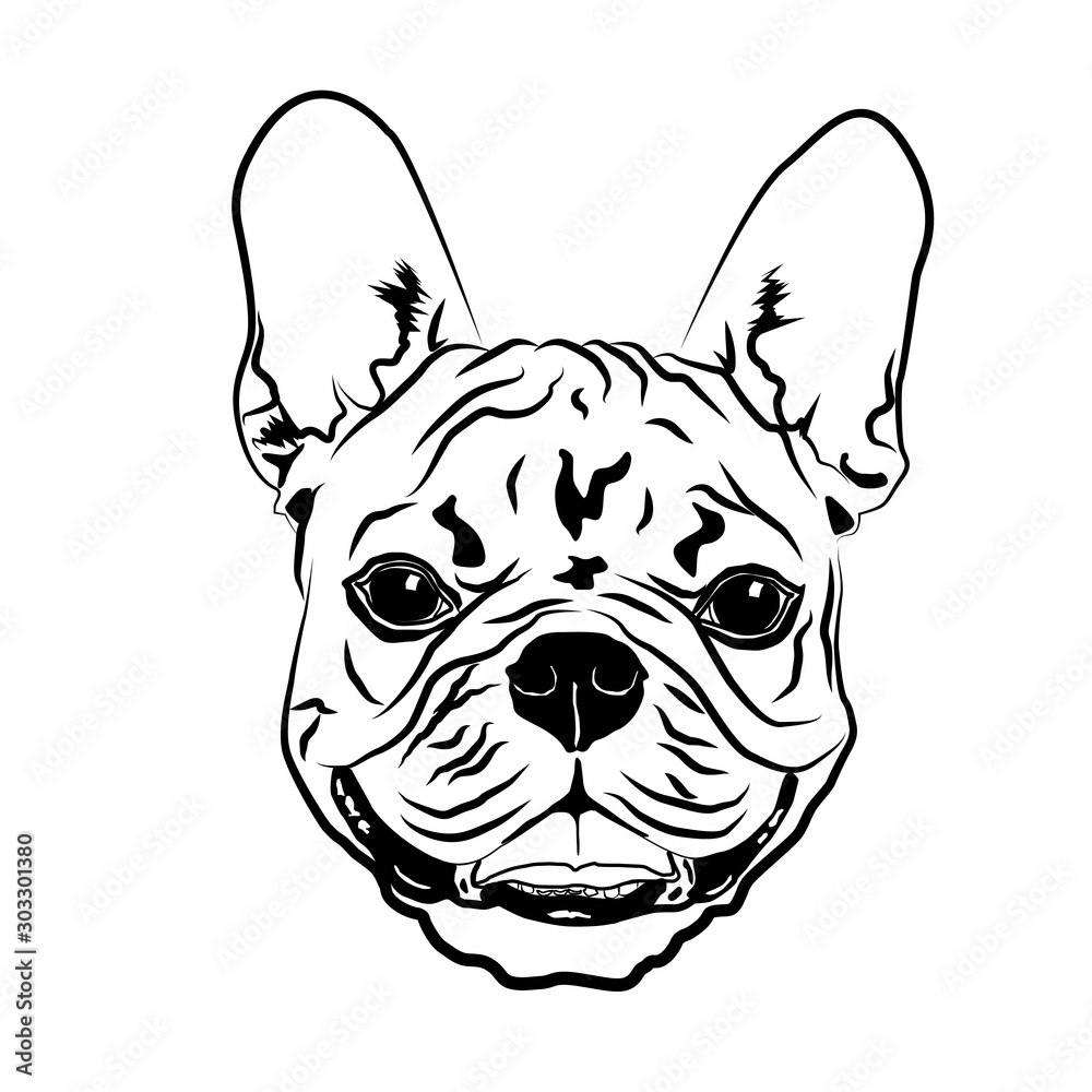 Head portrait contour outline, sketch of French Bulldog dog silhouette ...