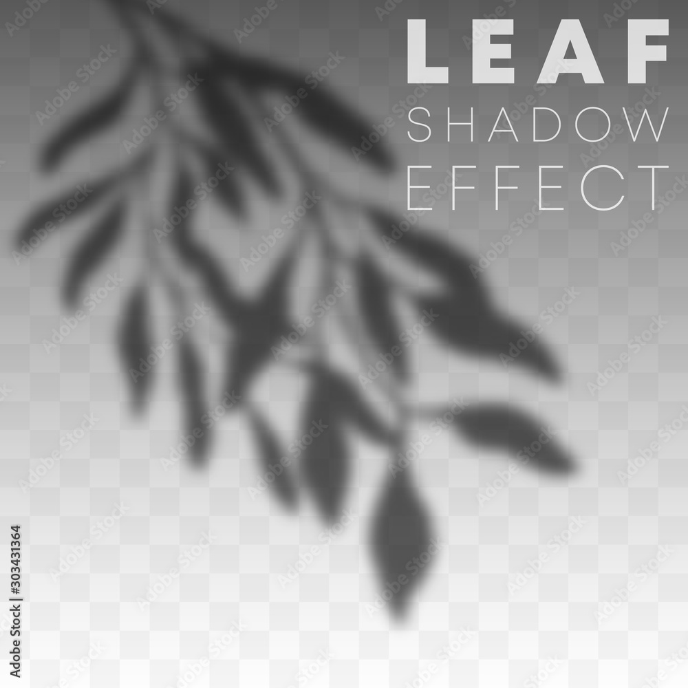 Leaf shadow overlay effect on transparent background. Vector ...
