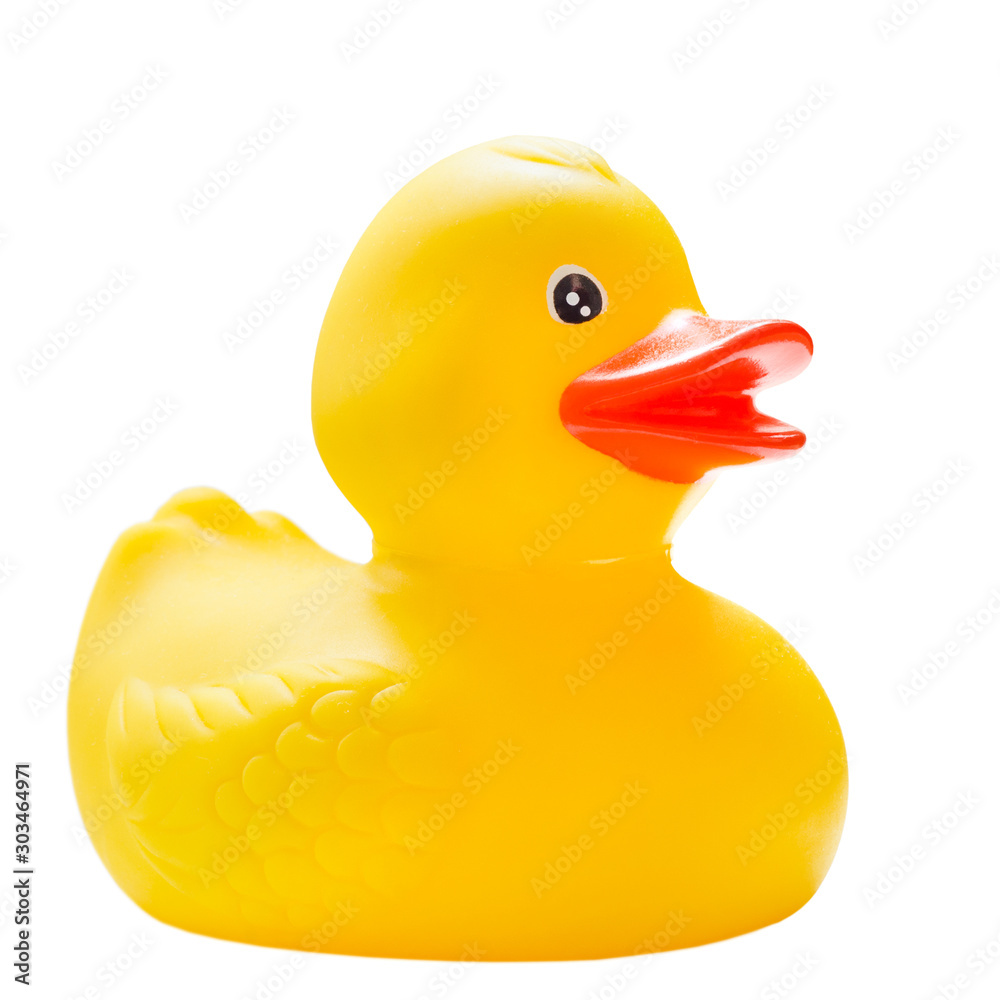rubber duck Stock Photo | Adobe Stock