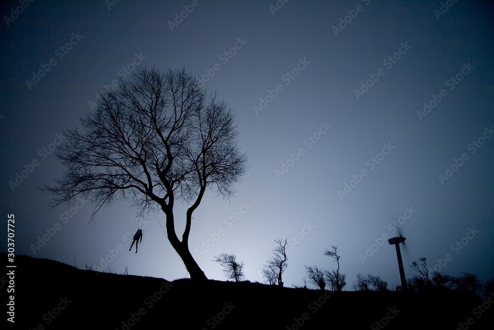 Hanged, hung man on a tree at night foto de Stock | Adobe Stock