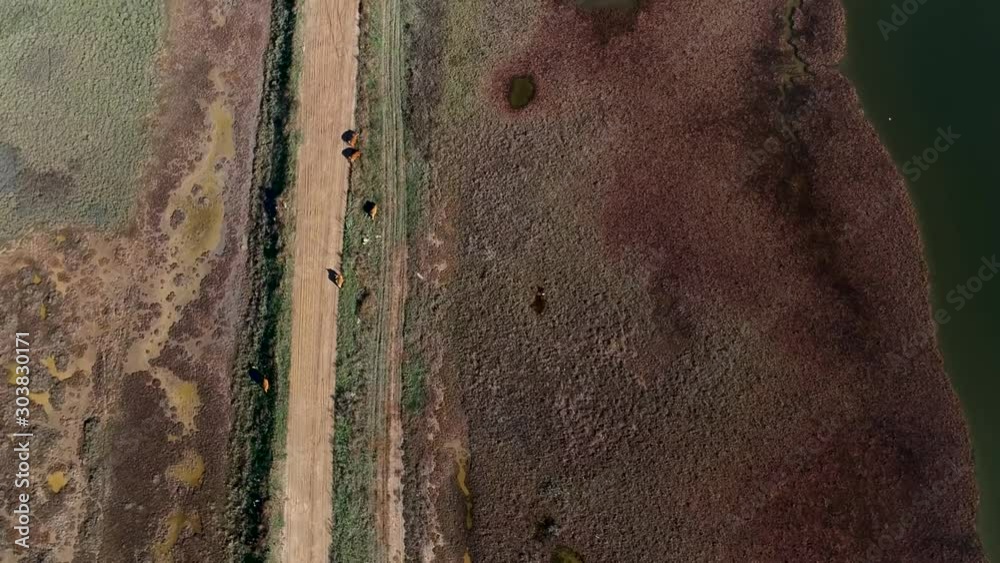 Vidéo Stock Aerial overhead drone footage of Axios river in ...