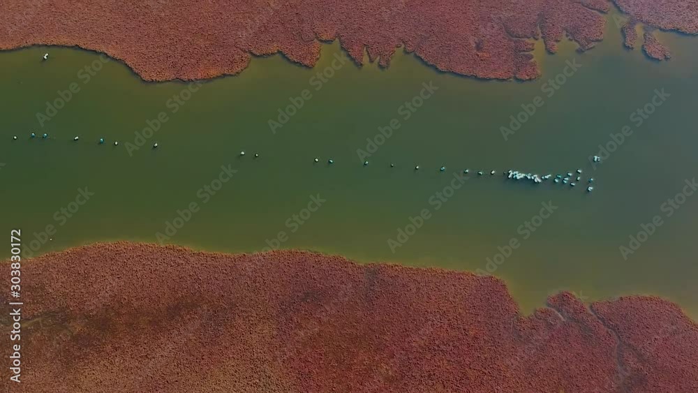 Vidéo Stock Aerial overhead drone footage of Axios river in ...