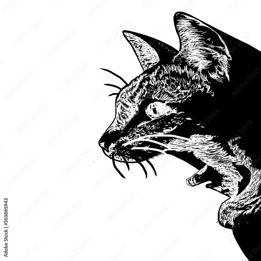 Angry Black Cat Drawing