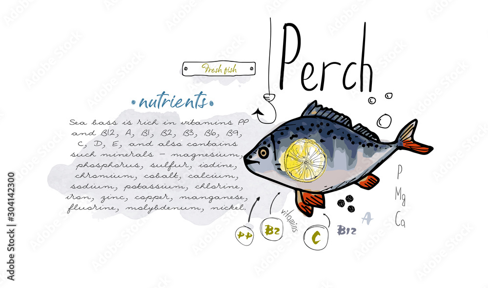Fish hand drawn set watercolor ink, food vitamin menu restaurant ...