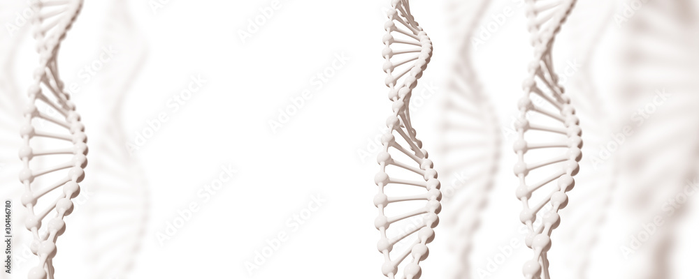White DNA structures over white background. Stock Photo | Adobe Stock