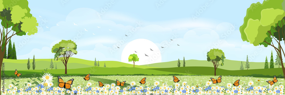 Cartoon panorama of natural Spring field with butterfly flying over ...
