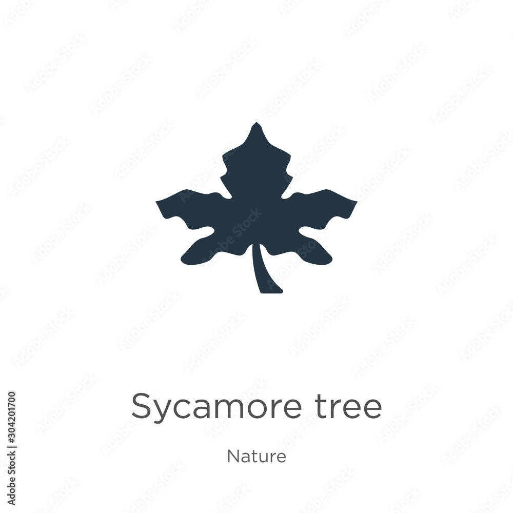 Sycamore tree icon vector. Trendy flat sycamore tree icon from nature ...