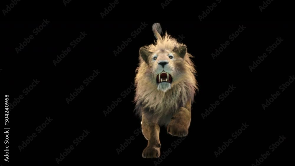 lion Zoo CG fur 3d rendering animal realistic CGI VFX Animation Loop ...