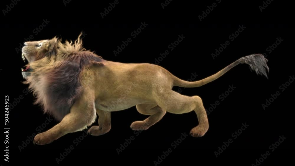 lion Zoo CG fur 3d rendering animal realistic CGI VFX Animation Loop ...