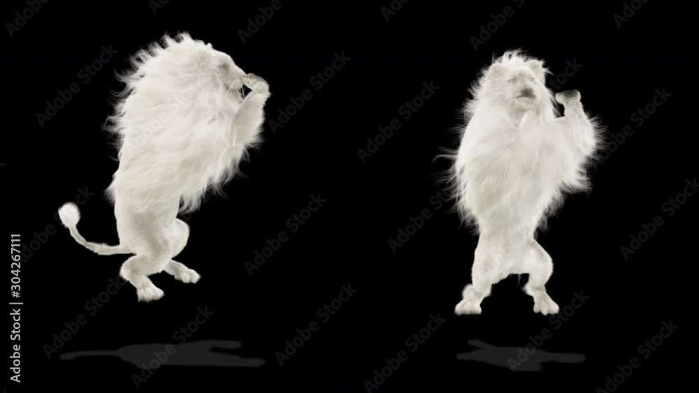 White lion CG fur 3d rendering animal realistic CGI VFX Animation Cheer ...