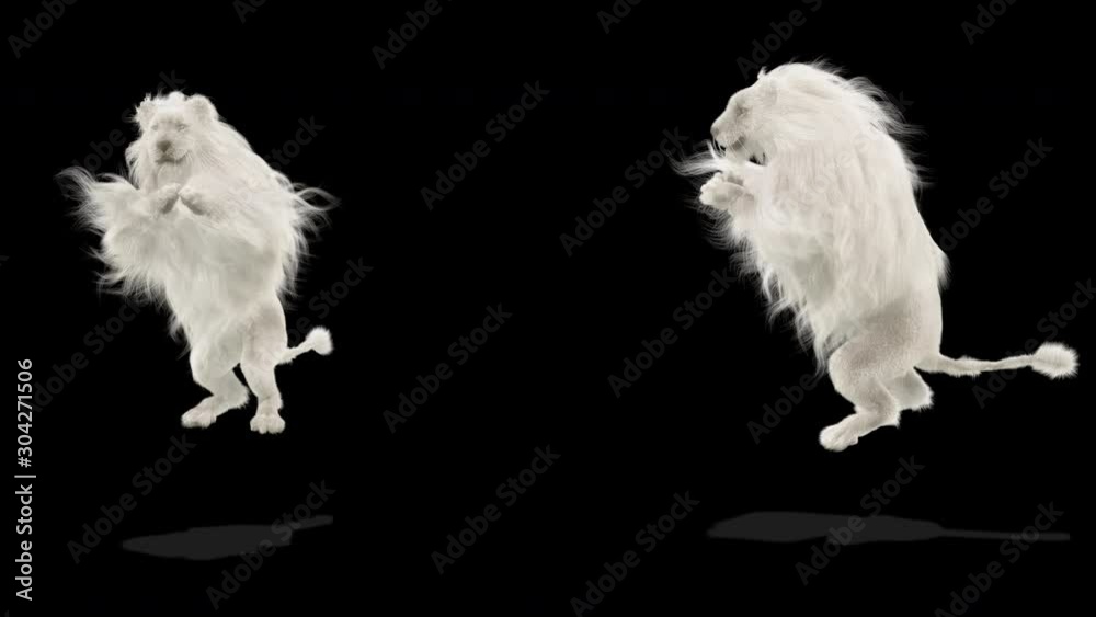 White lion CG fur 3d rendering animal realistic CGI VFX Animation Cheer ...